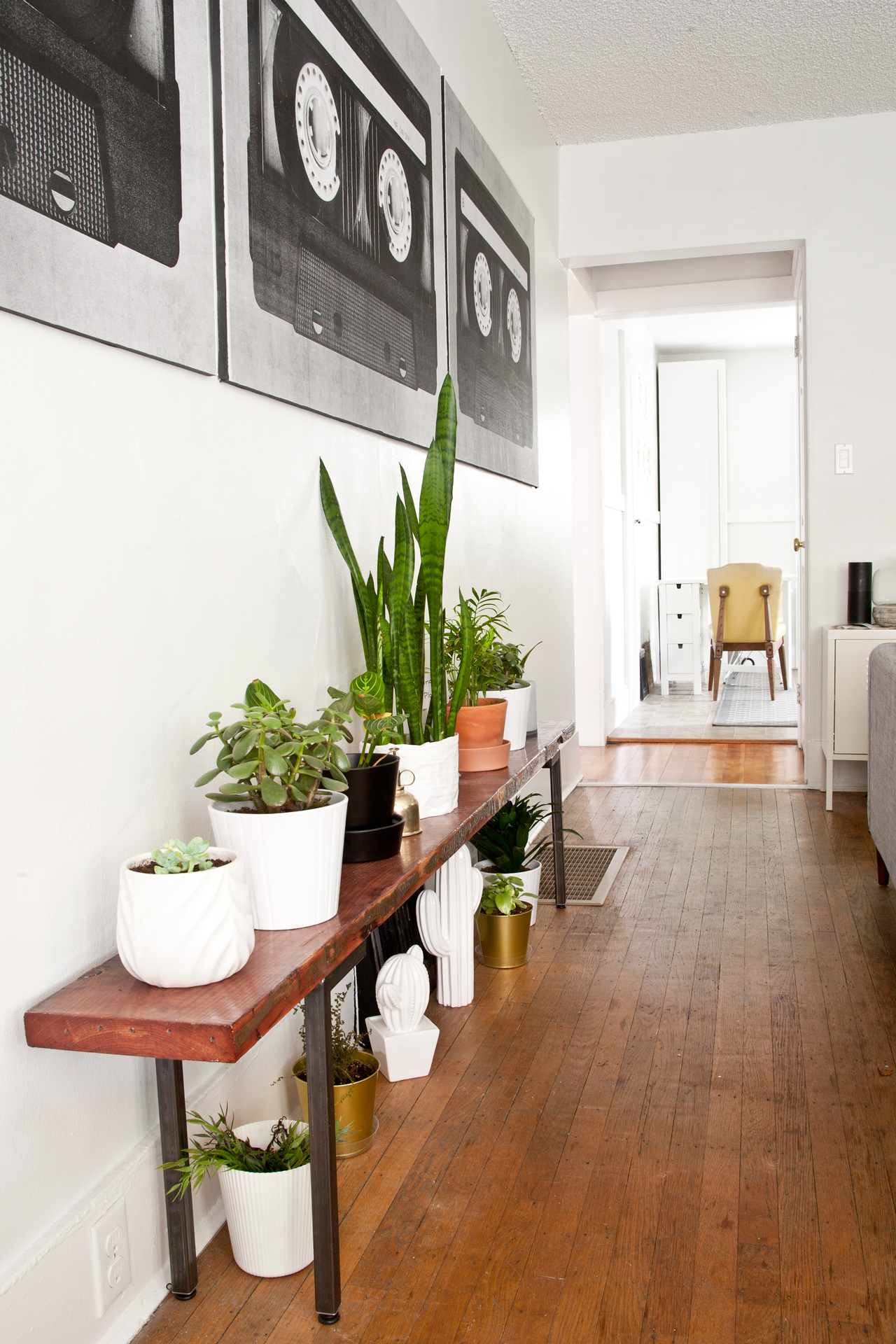 Plant Bench DIY Mox Fodder Plant Bench DIY Mox Fodder