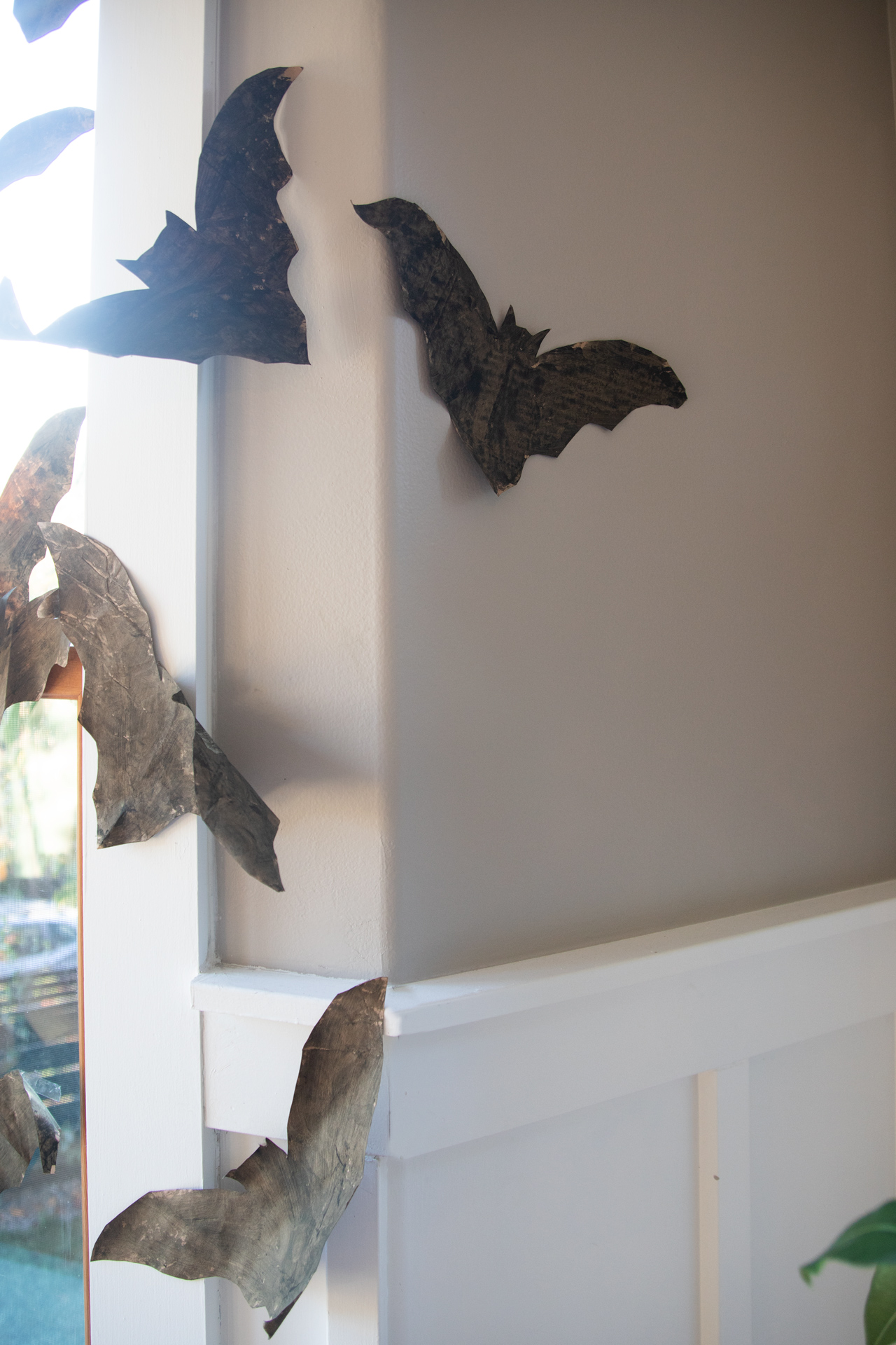 Halloween Happenings – mox & fodder